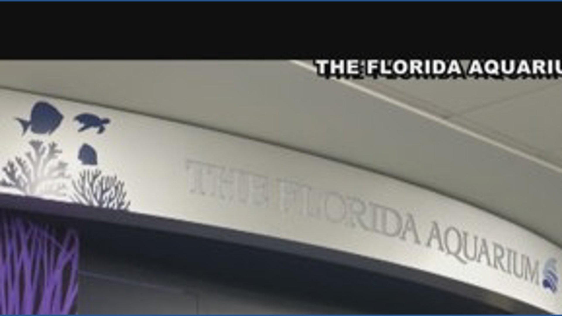 Aquatic exhibits return to TPA