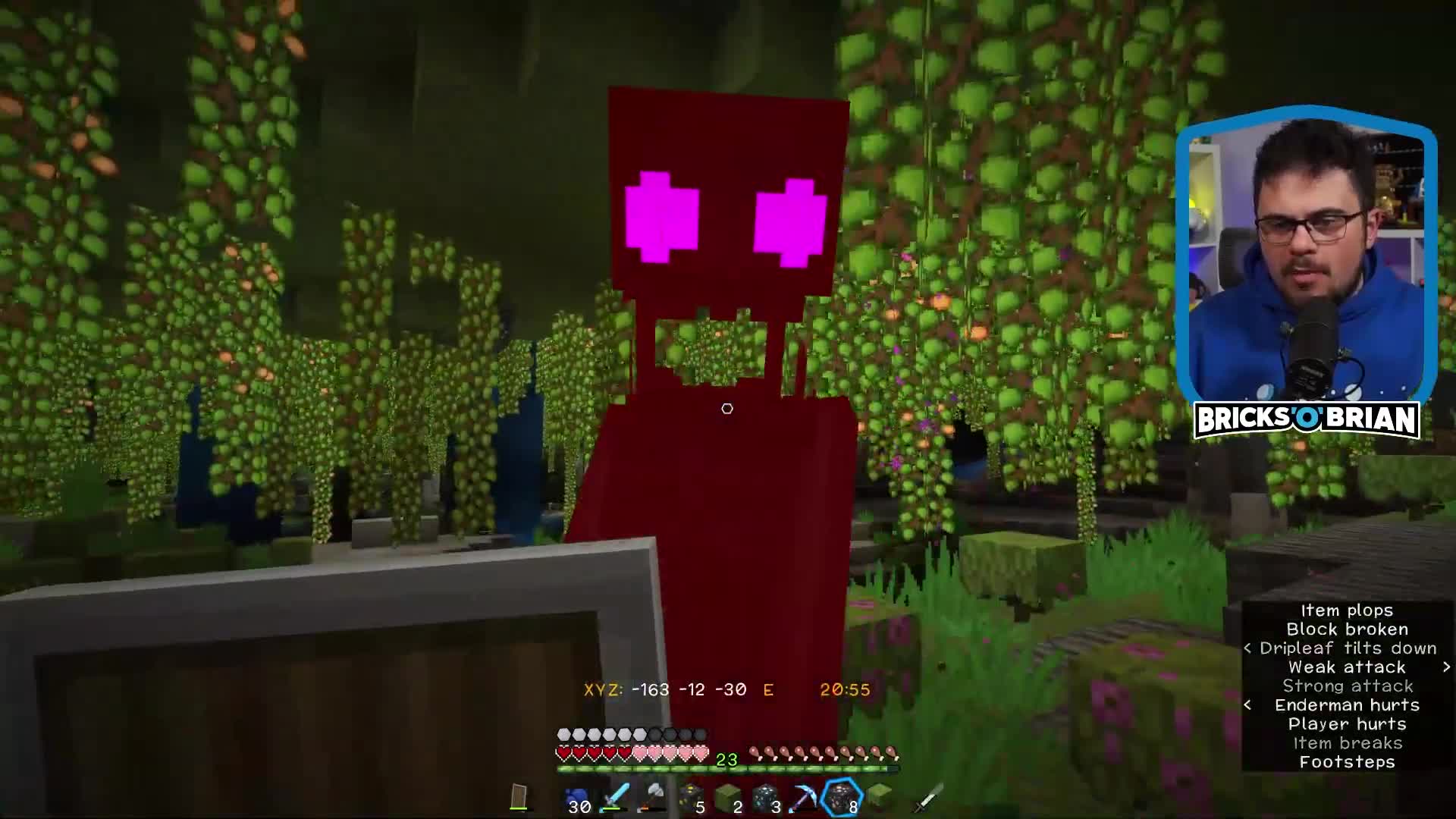 Iron deficiency! - THE VAULT