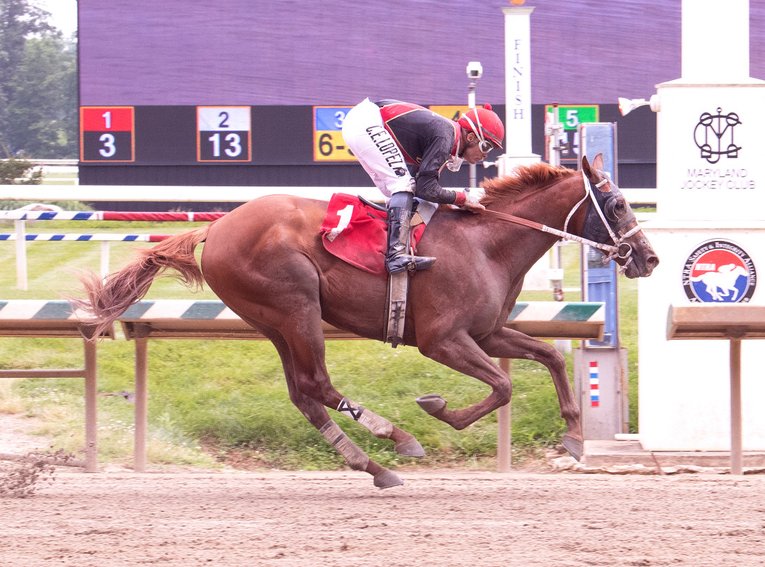 Probably dreaming heads Gary Capuano quartet in heft stakes