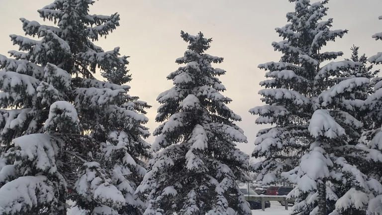 Northern Manitoba communities under cold weather warning