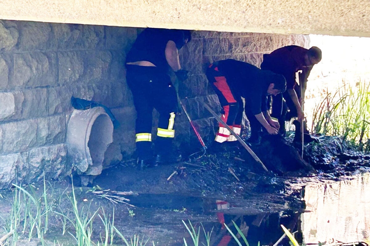 Hund büxt aus und bleibt im Schlamm stecken