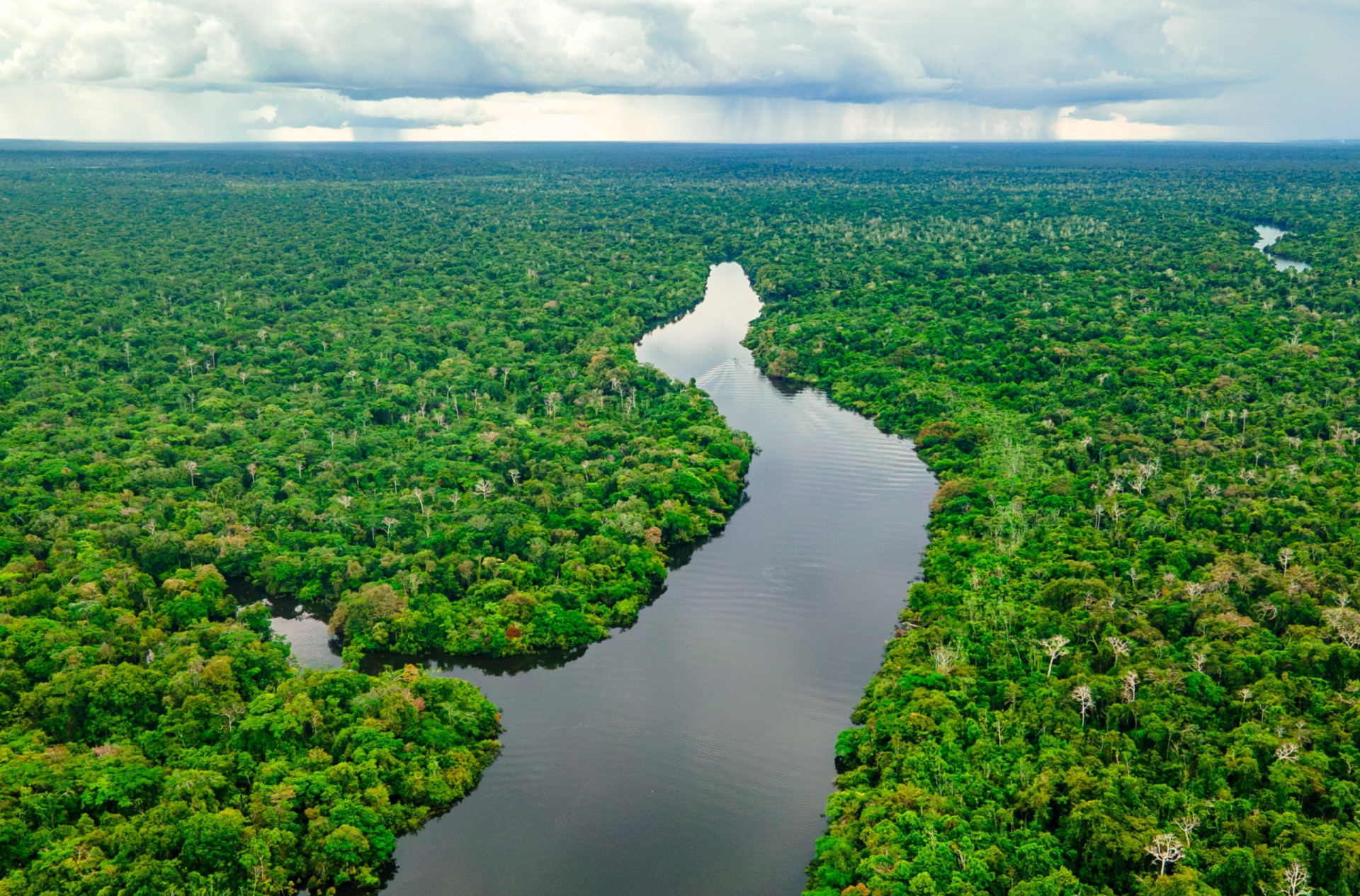 Esses homens foram os pioneiros na exploração da Amazônia