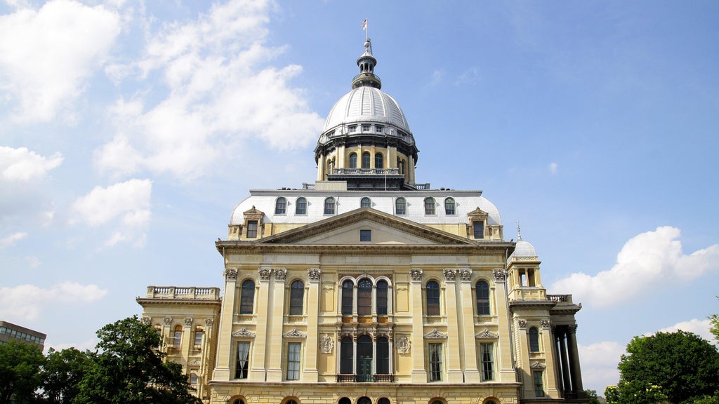 New Illinois laws 2026: Gun safety, squatters, medical assistance in ...