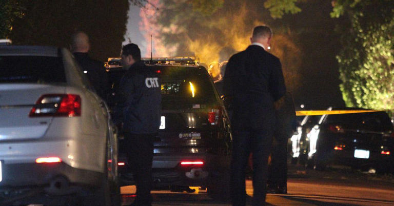 Rob and Michele Reiner died within 'minutes' after sustaining 'multiple ...