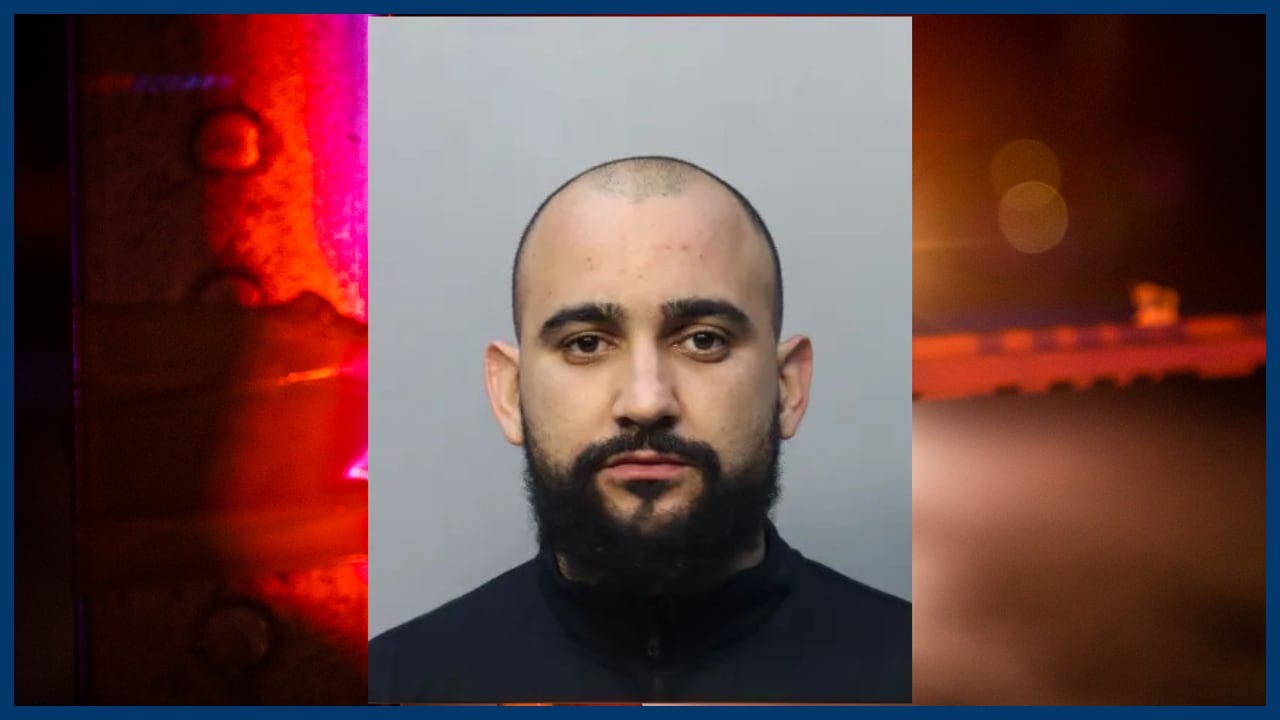 Florida dad arrested for stealing 400 pounds of avocados to buy kids ...