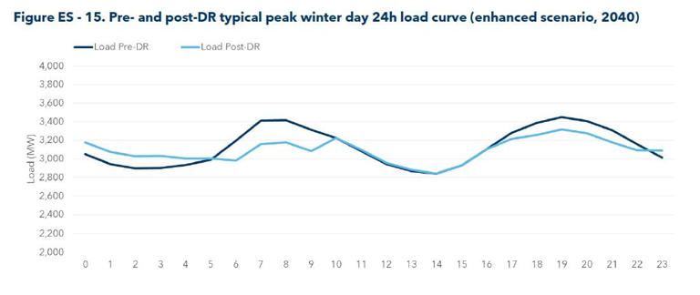 NB Power should focus on reducing power demand instead of building new ...