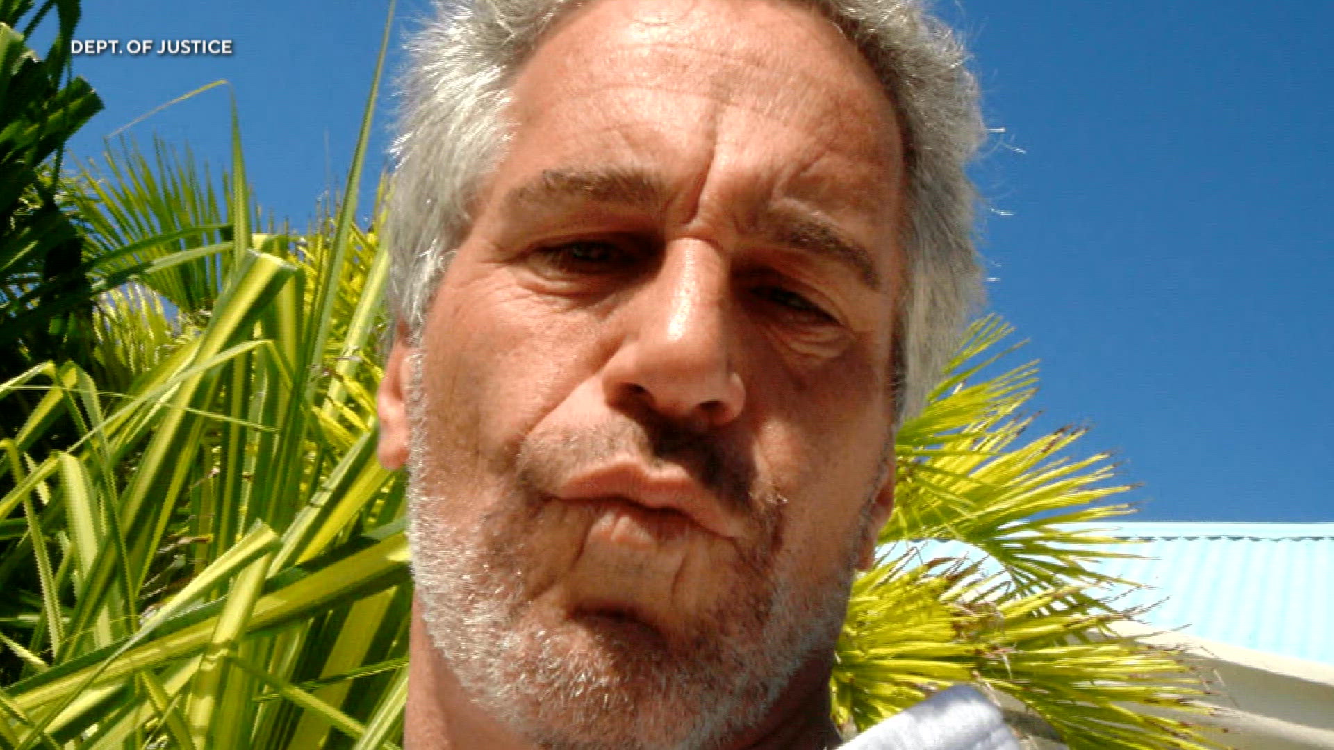 Epstein file release: What did third batch of documents show?