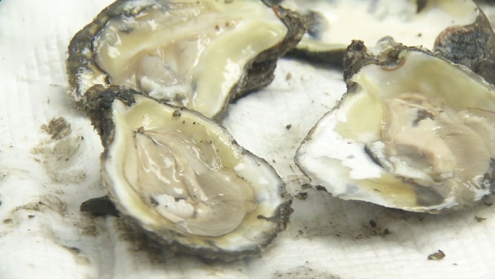 Raw oysters linked to ongoing salmonella outbreak; almost half of ...