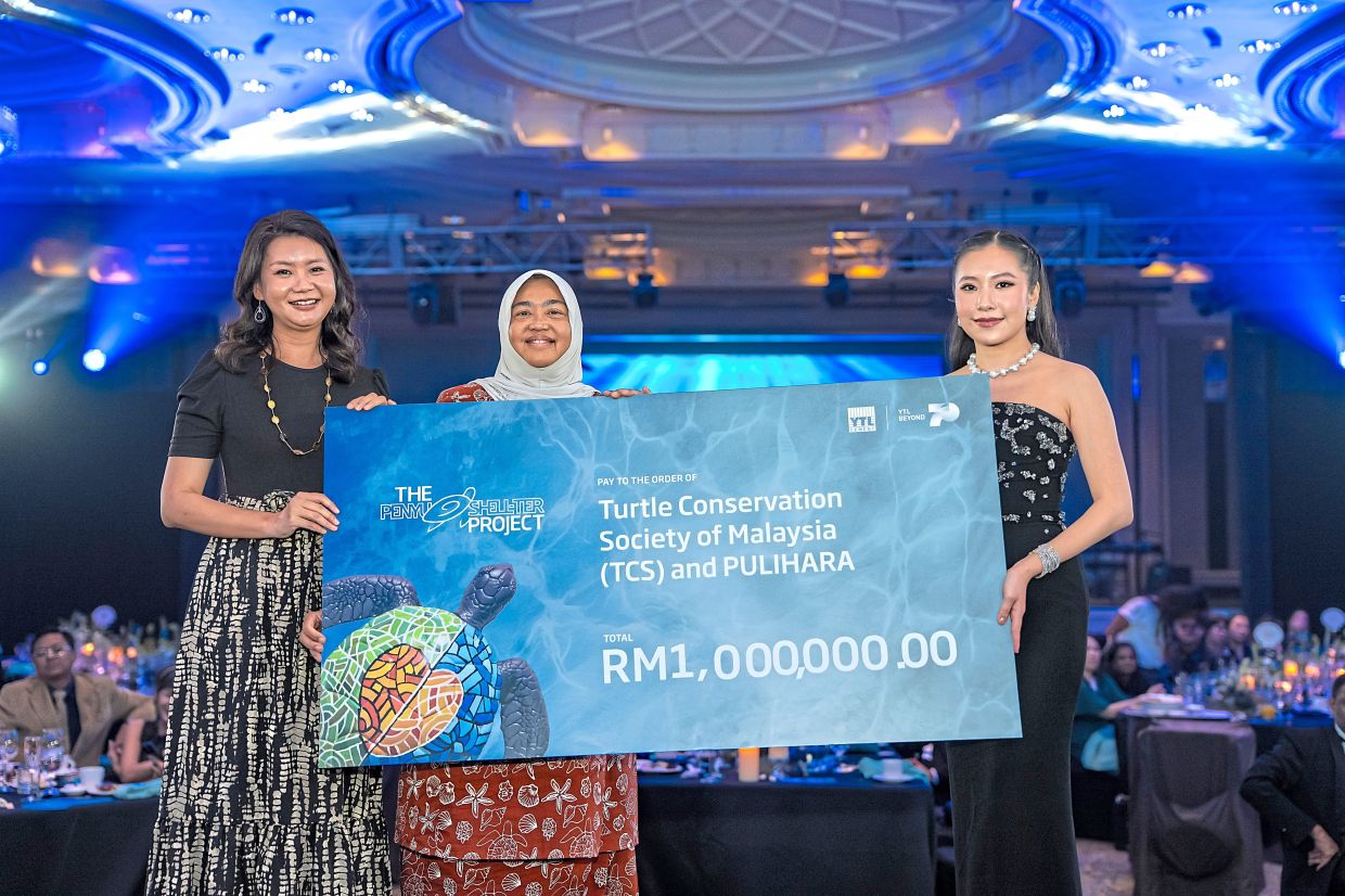 RM1mil raised to save turtles