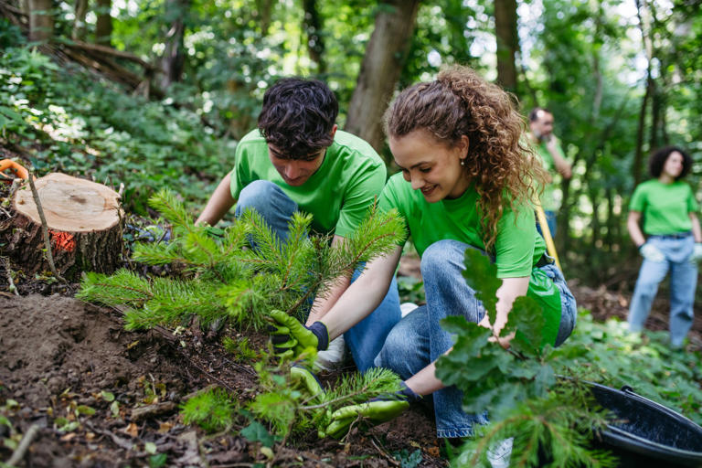 Maximise your money while saving the planet