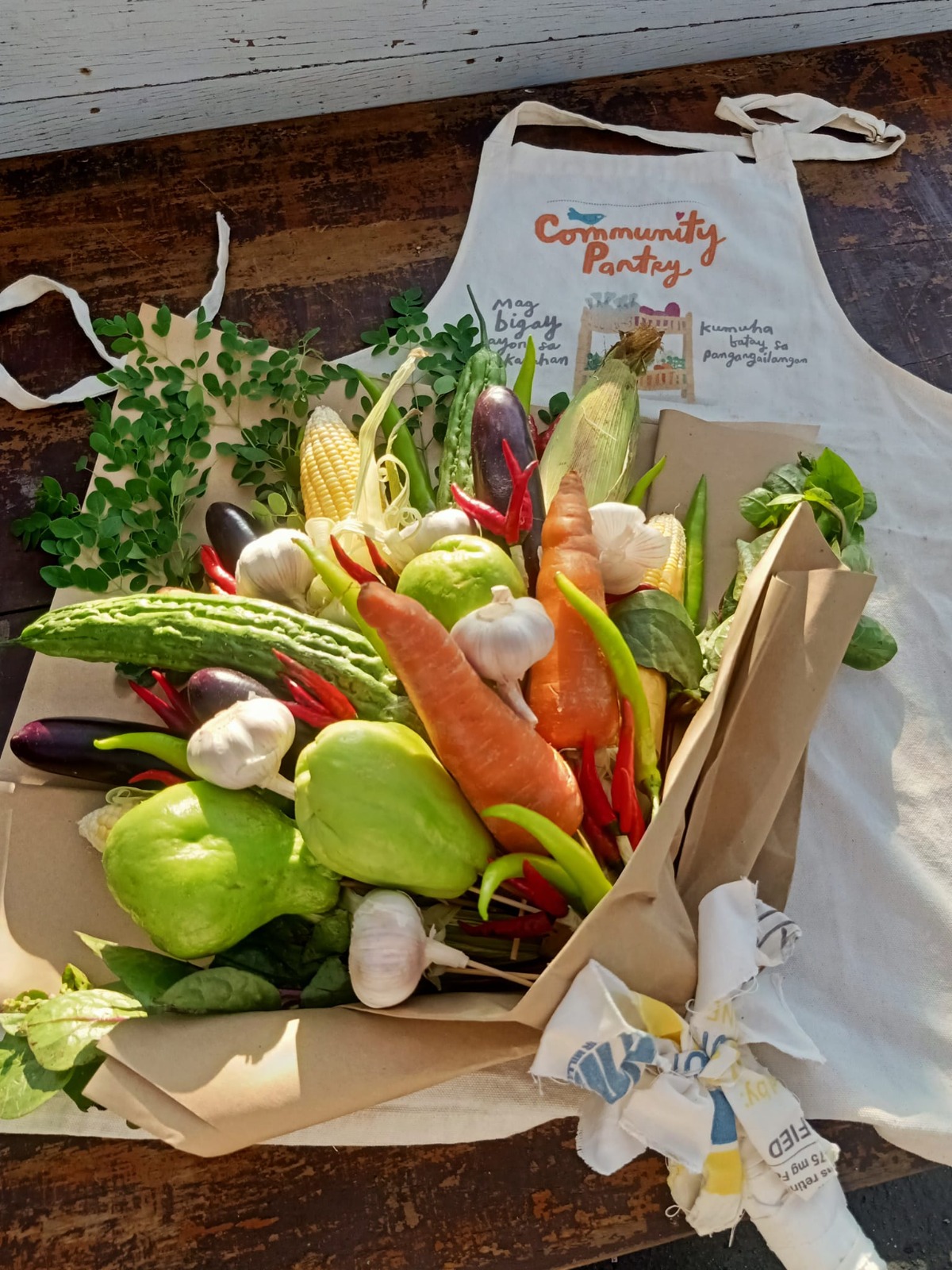 P20 million solar irrigation project to revive Bukidnon vegetable hub