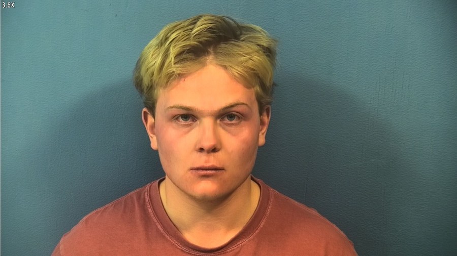 3 teens charged with sexually assaulting a female classmate at Roselle ...