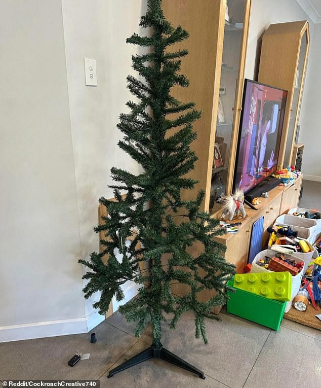 Kmart shoppers in hysterics over 'sad' $10 purchase: 'What did you expect?'