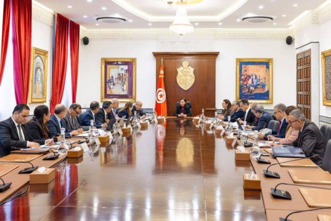 High Committee for Private Electricity Generation approves renewable ...