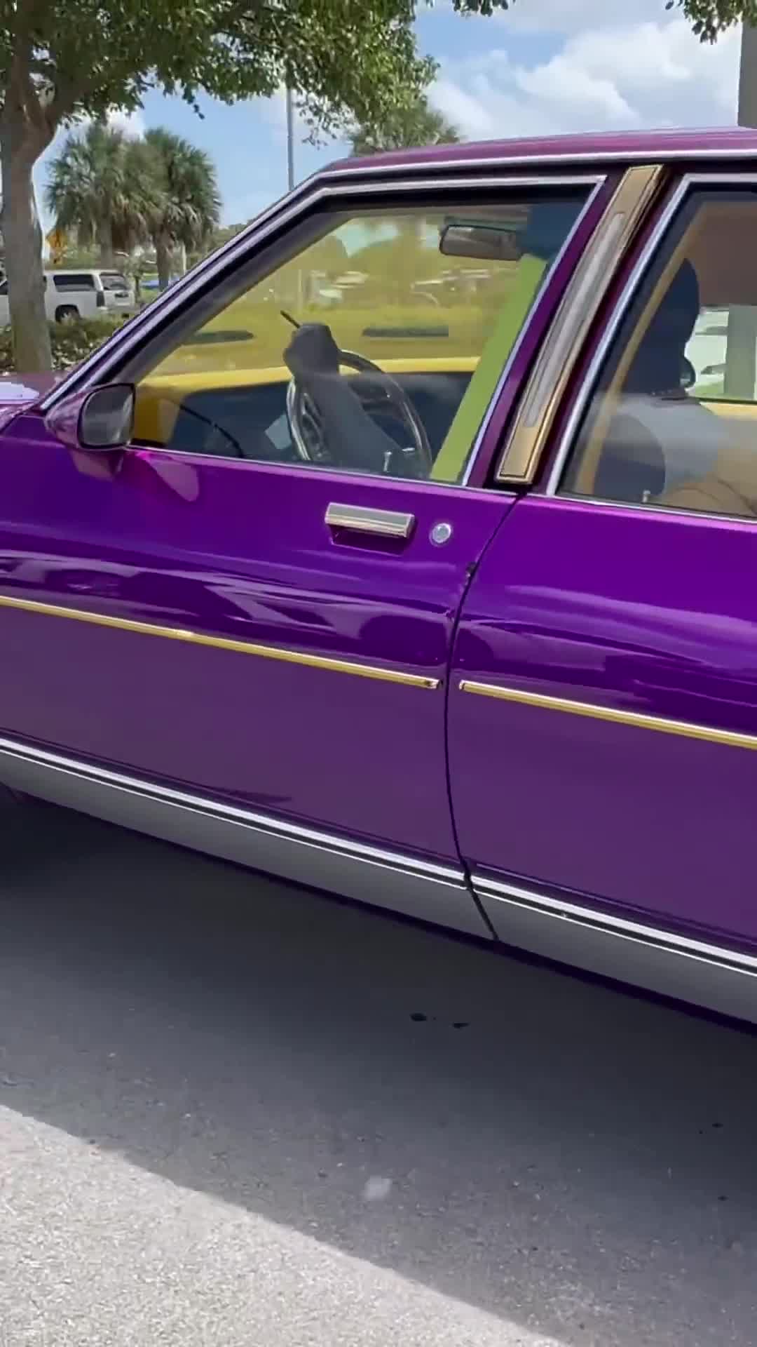 95Prezi’s Candy Purple Chevy Box on Gold 24’s Daytons Riding