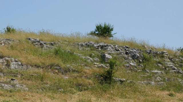 Experts issue warning after making troubling new discovery about ...