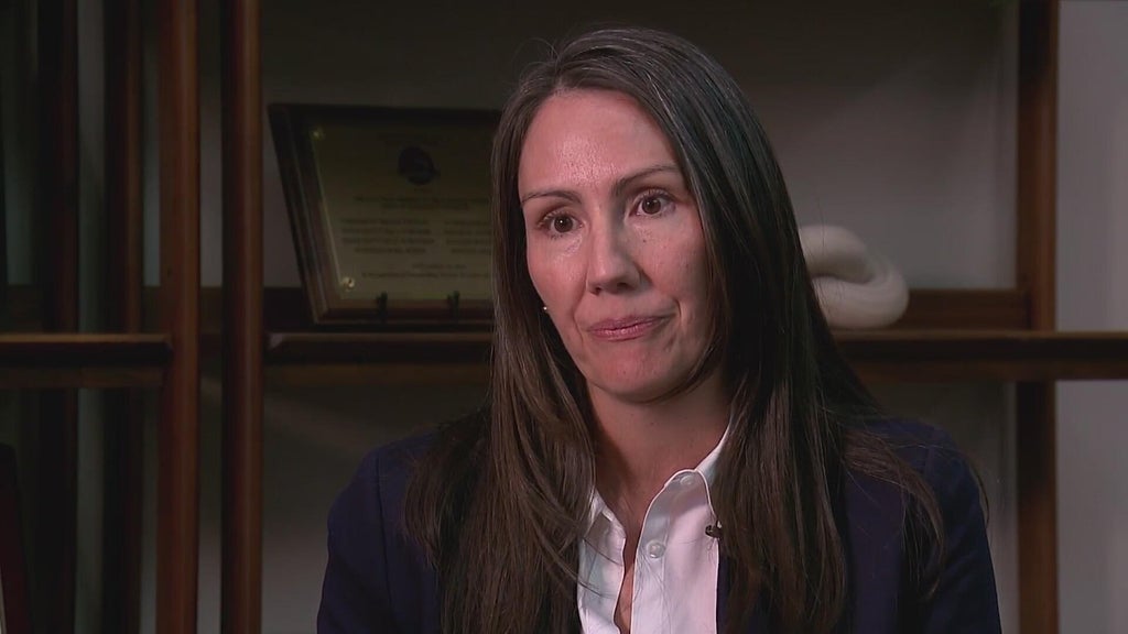 Massive volume of digital evidence is crippling Colorado's criminal ...