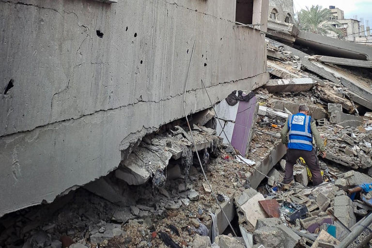 Charity to expand work to clear explosives in Gaza amid 'immense ...