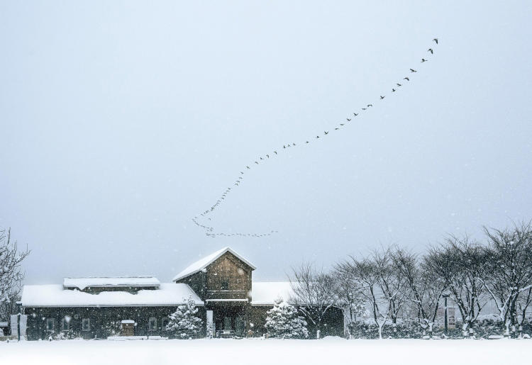 [유통가info.] 풀무원푸드앤컬처, 호텔 뷔페·전망대서 시즌 프로모션 外