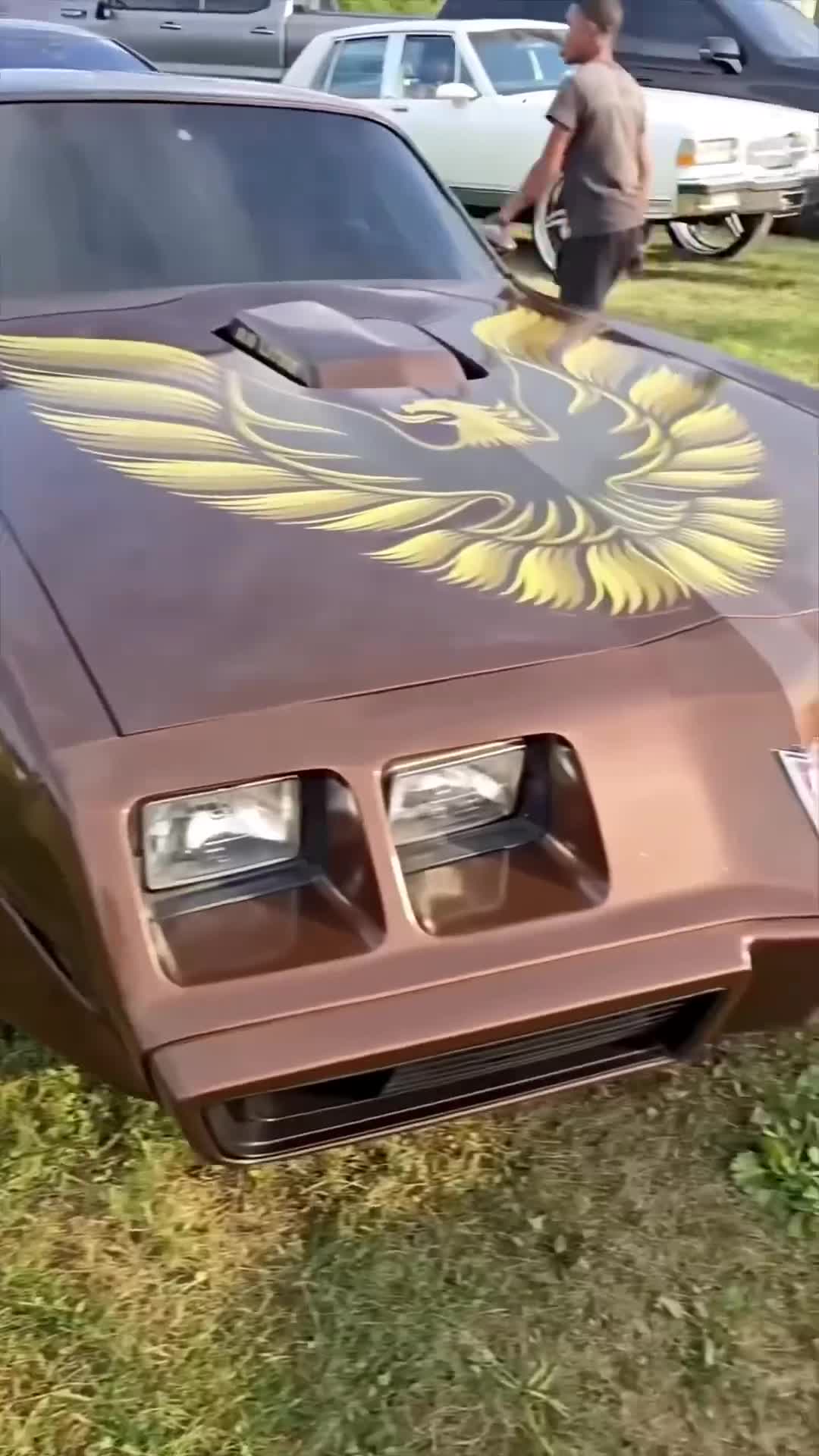 Pontiac Trans-Am on gold 24” Daytons