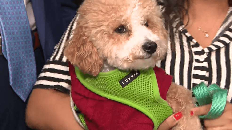 'Kick him in the stomach'; Former employee describes alleged abuse at ...