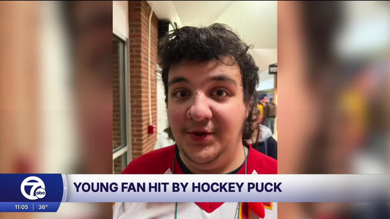 Teen hockey fan struck by puck at Port Huron game as city considers ...