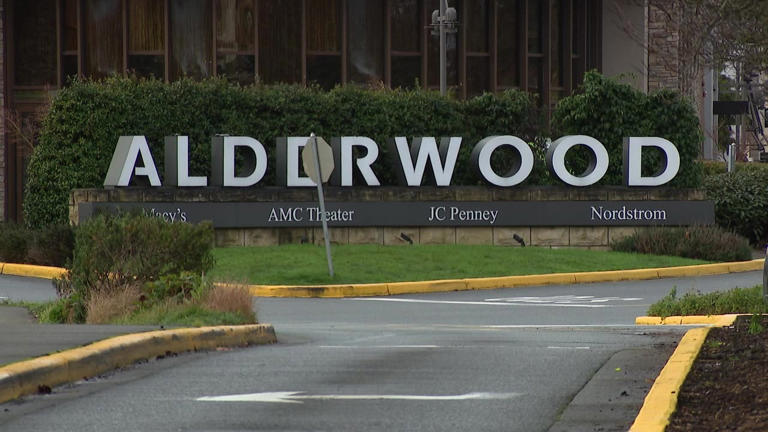 Lynnwood, WA take advantage of clear weather for last-minute holiday gifts