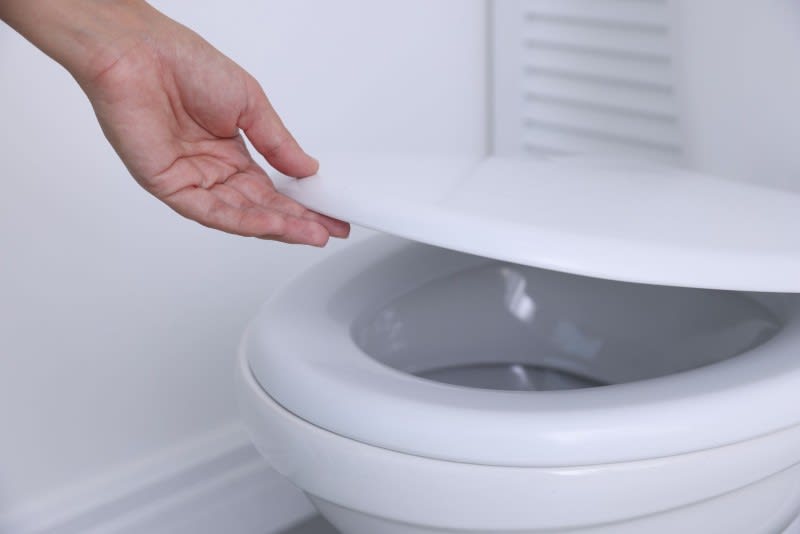 After Washington floods, a warning on toilet rats