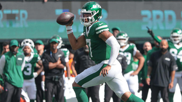 Jets put former Steelers QB on IR, ending his season