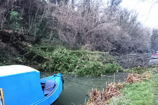 Canal trust issues update after fallen tree blocks canal