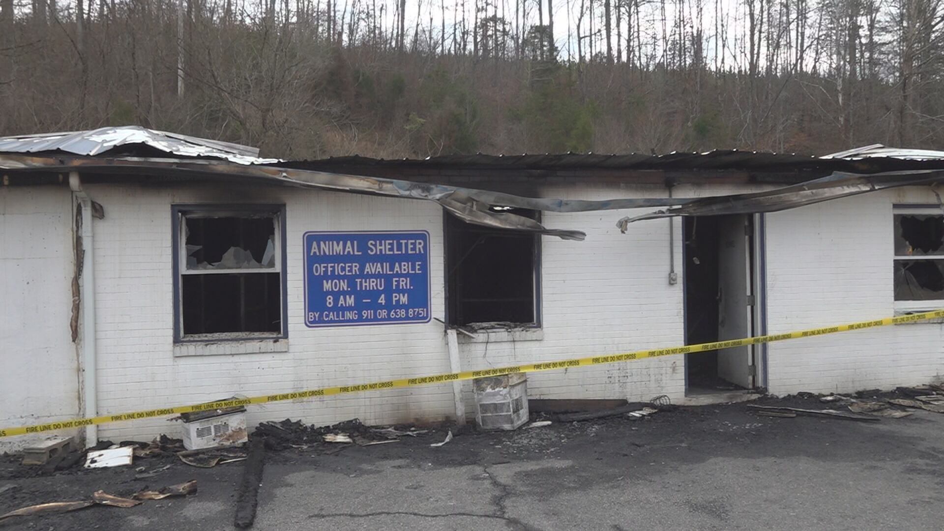 Three dogs killed in Martinsville Animal Shelter fire