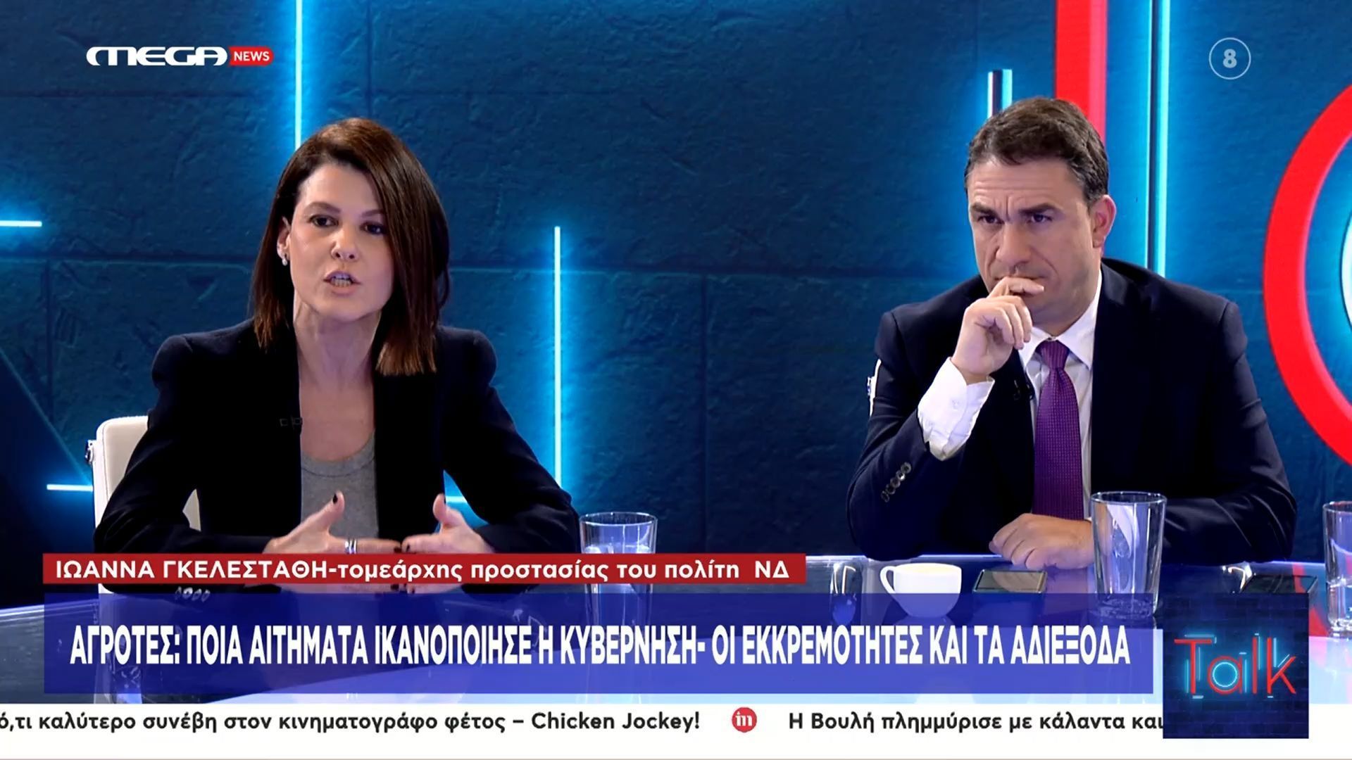 Ι. Γκελεστάθη: «Η ΑΑΔΕ εγγυάται ότι δεν θα έχουμε τα παρατράγουδα του ...