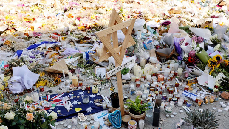 Australia’s ‘toughest’ gun laws ratified