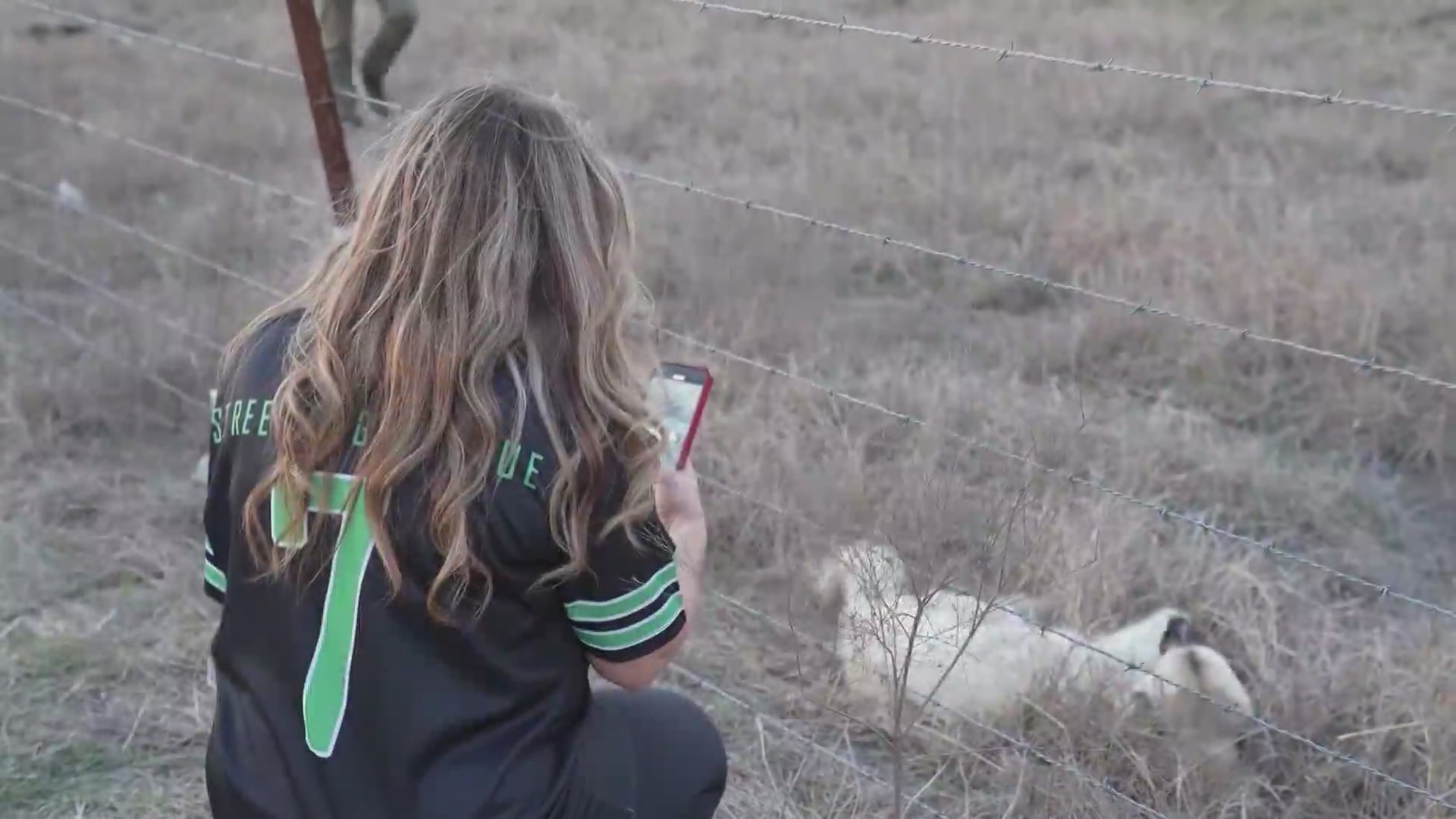 Central Texas street dog group rescuing dogs this holiday season