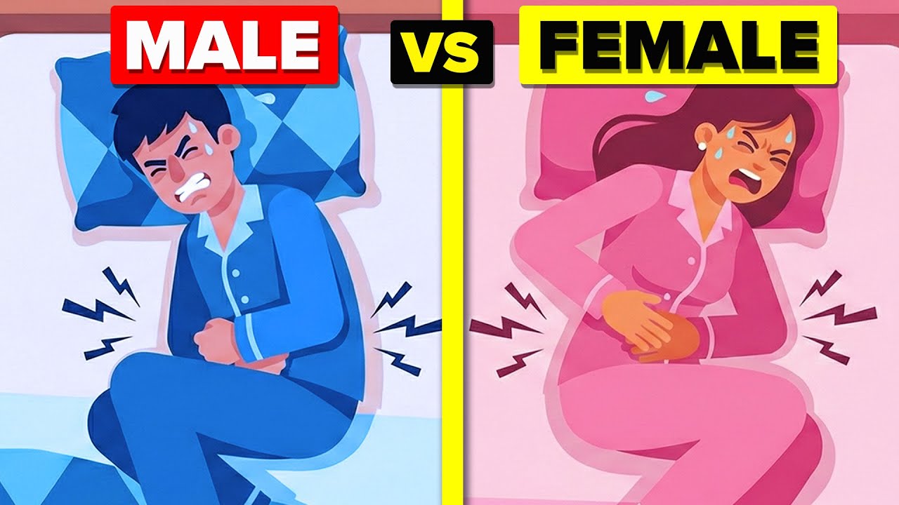 Male vs female puberty - what's the difference