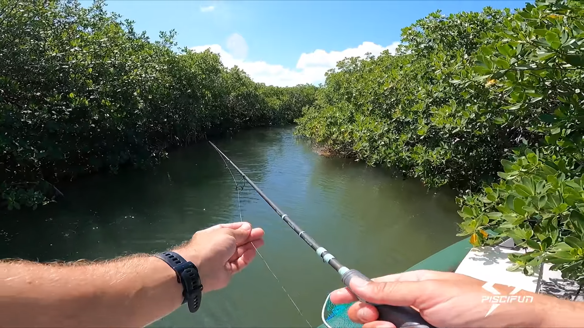 Fishing deep in the creek where the big ones hide