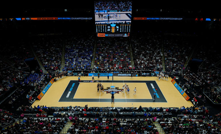 Texas A&M volleyball adds elite transfer portal commitments