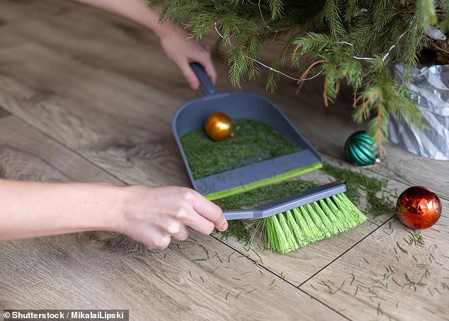 Our 'non-drop' Christmas tree is already dropping its needles: Dean ...