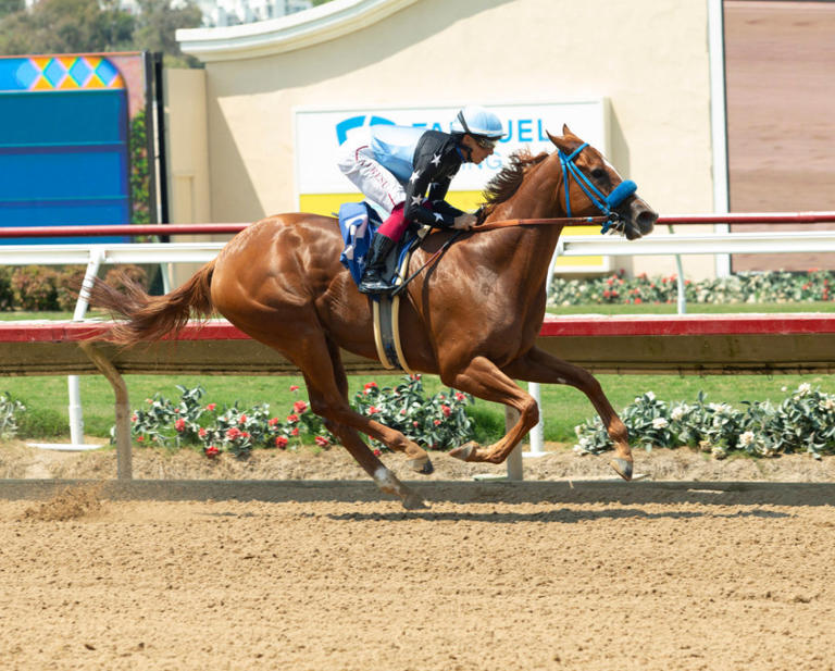 Lightly raced Formula Rossa seeks first graded win in La Brea