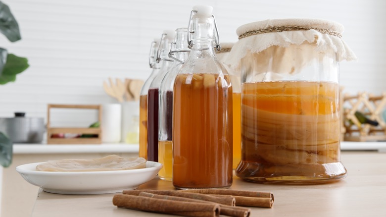 Your step-by-step guide to making and caring for kombucha