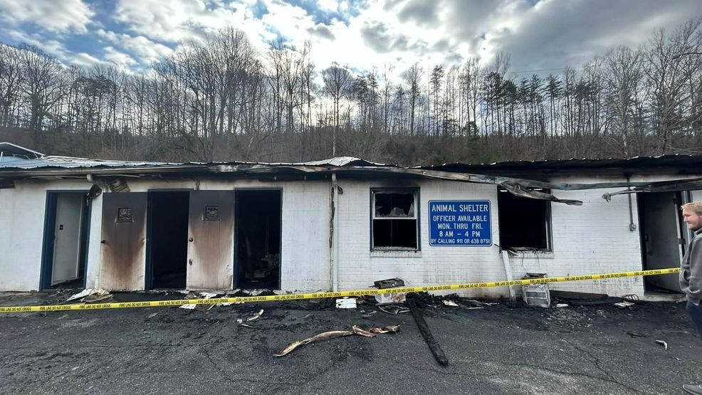 Fire destroys Martinsville animal shelter, three dogs dead