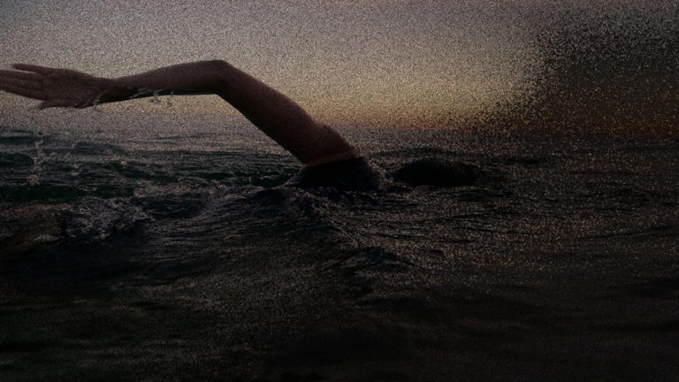 Erica Fox spent decades swimming in Pacific Ocean before she disappeared