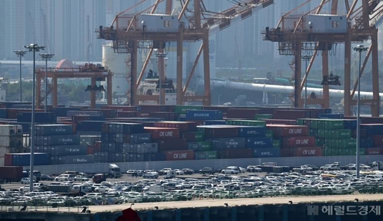 정부, 내년 수출바우처 899억 '역대 최대' 편성…미 관세 대응 지원