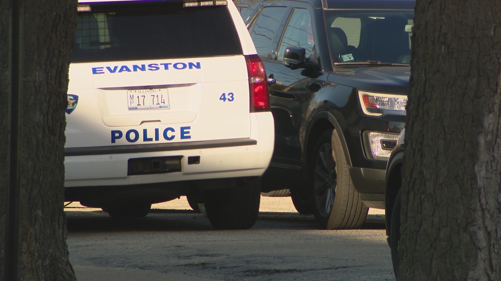 Evanston police arrest four in tap and pay scam