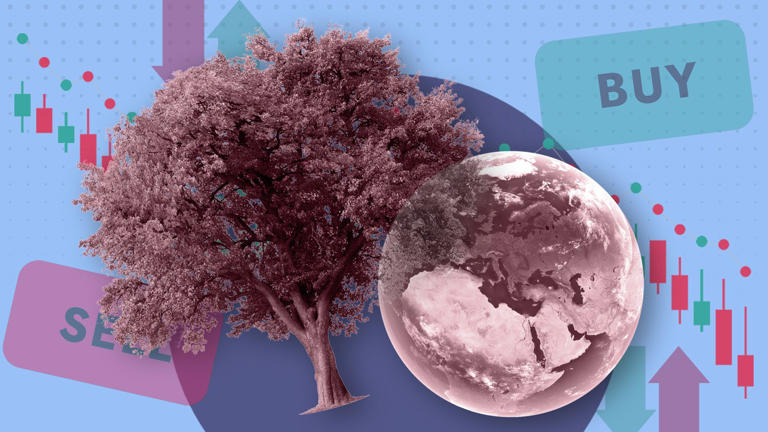 Maximise your money while saving the planet