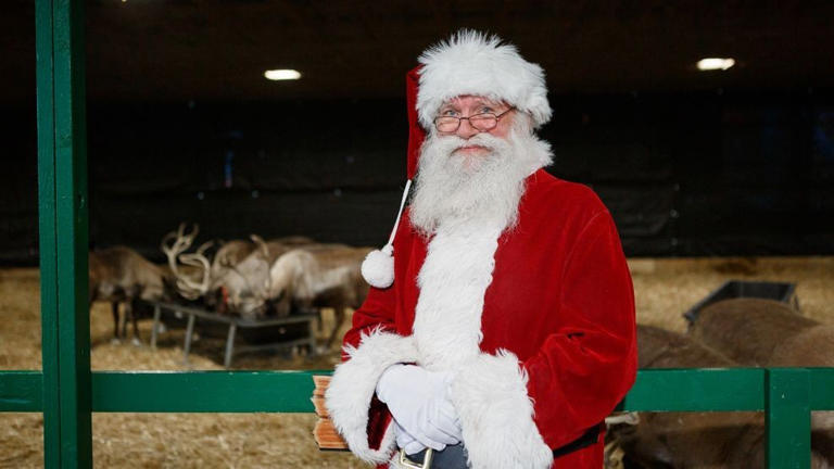 Santa's reindeer receive clean bill of health before embarking on ...