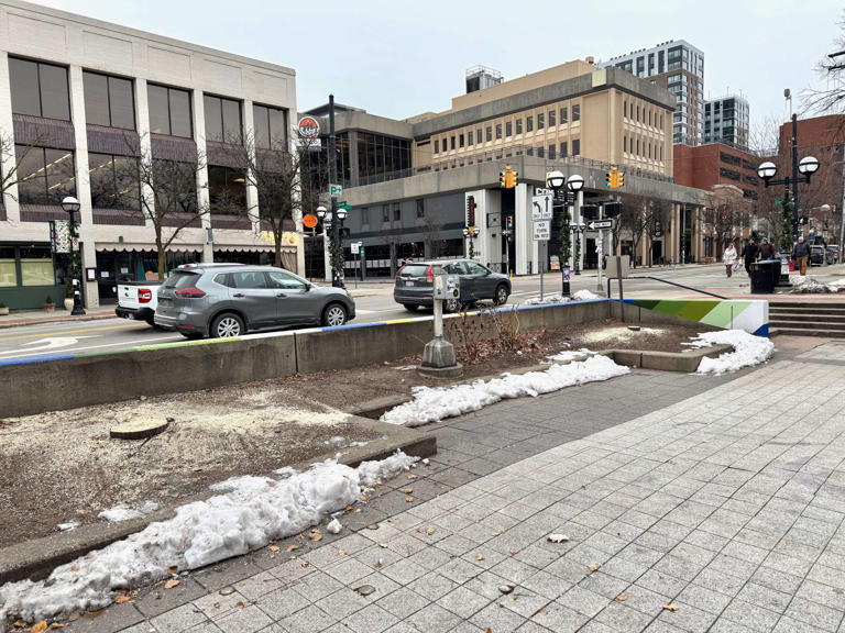 Trees down in Tree Town: Stalwarts of Ann Arbor’s Liberty Plaza reduced ...