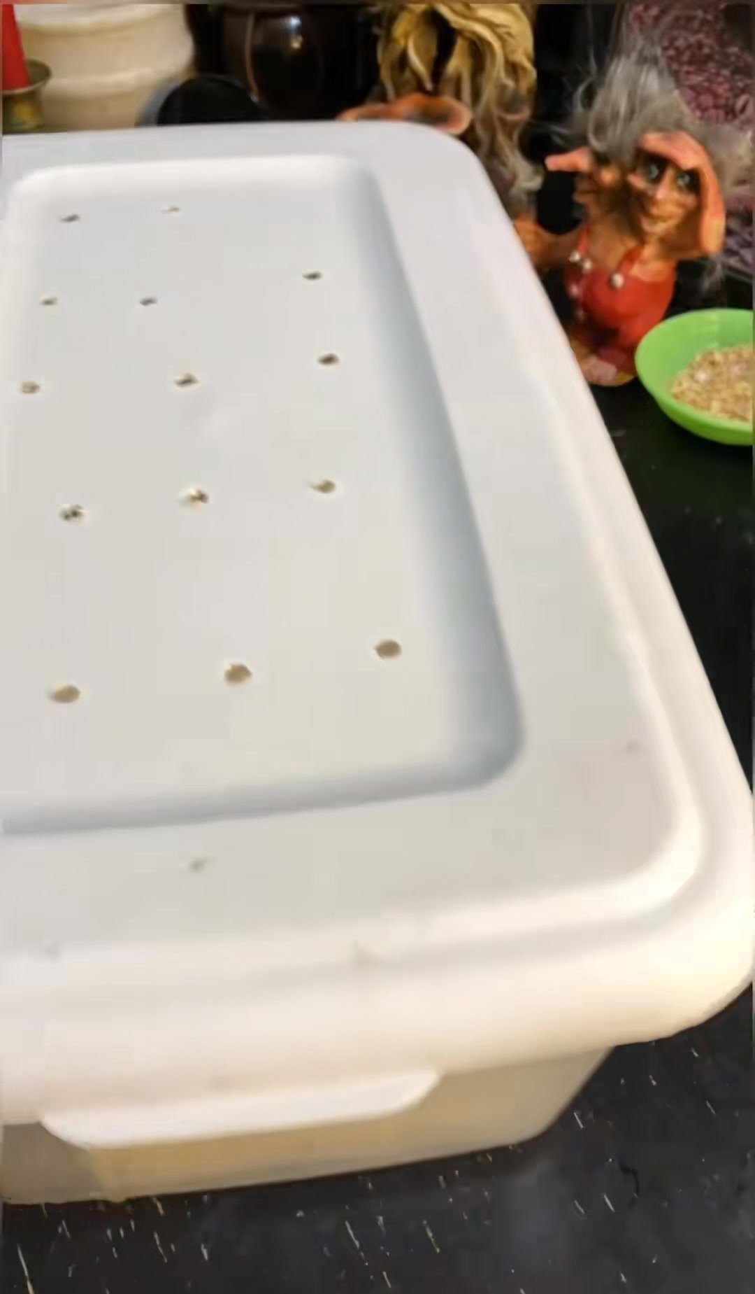 This pairing produced some unique looking snakes! I can’t wait to see ...