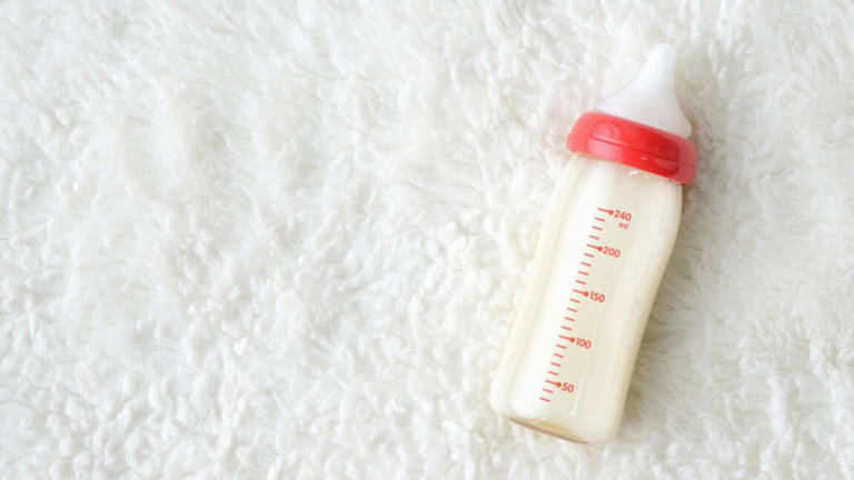 Foods you can bring through TSA at Christmas - and the ones that will ...