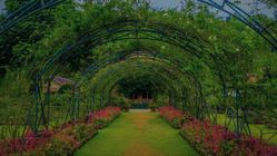 Kebun Mawar Situhapa Samarang Garut, taman bunga kekinian dengan villa ...